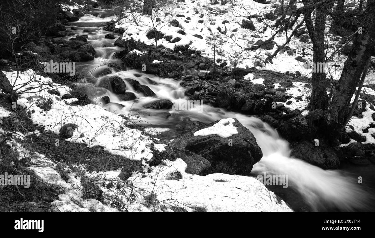 A serene black and white photo capturing the dynamic flow of a river as ...
