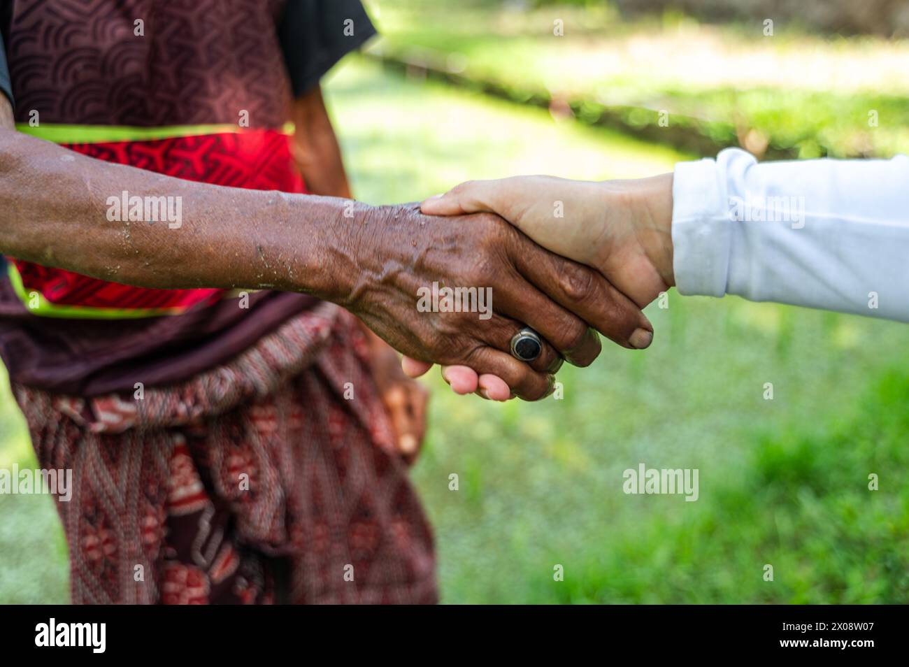 Close-up of a cropped unrecognizable multiracial people handshaking in ...