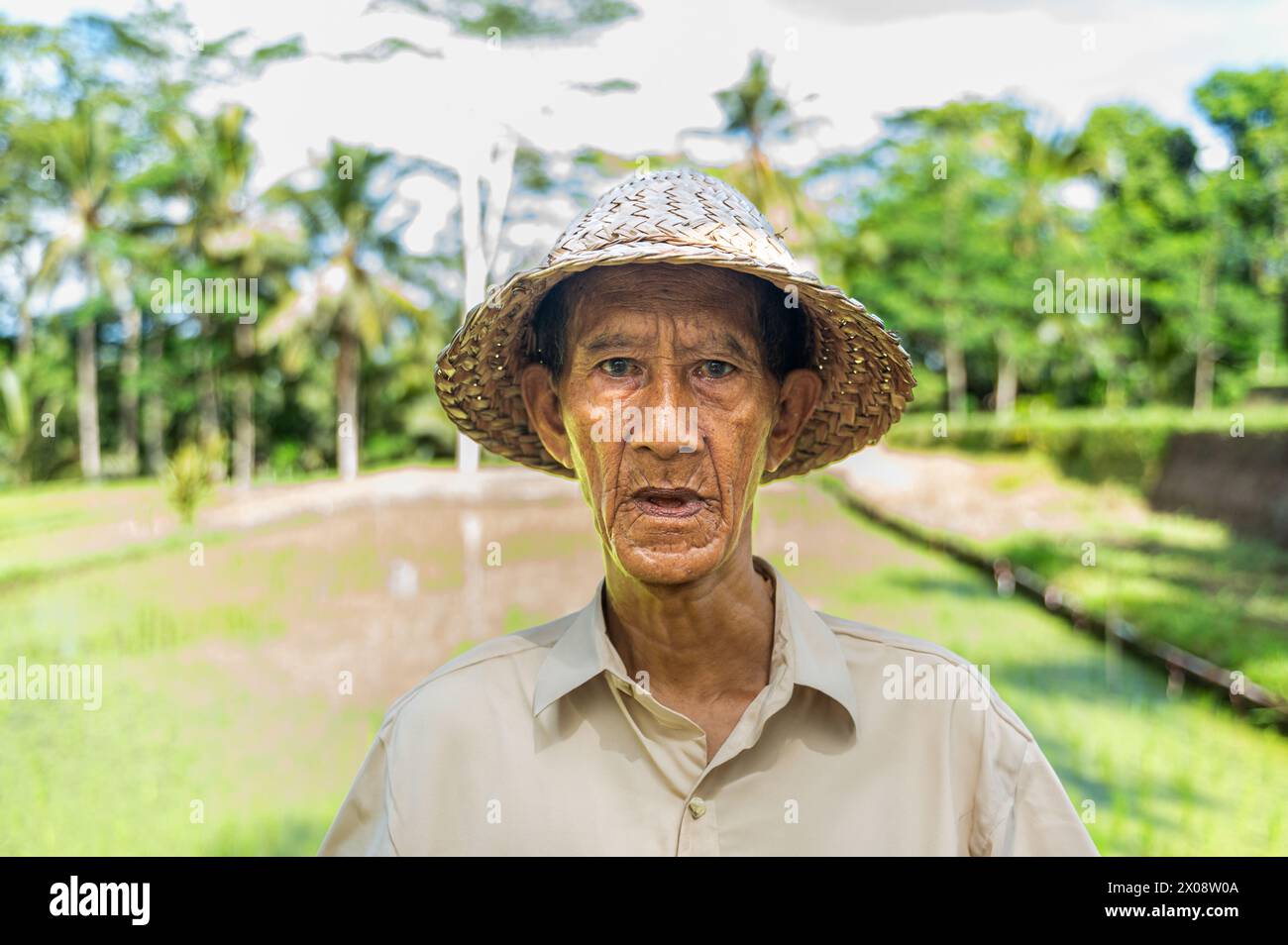 An elderly Balinese man wearing a traditional woven hat stands before a lush rice paddy in Bali ...