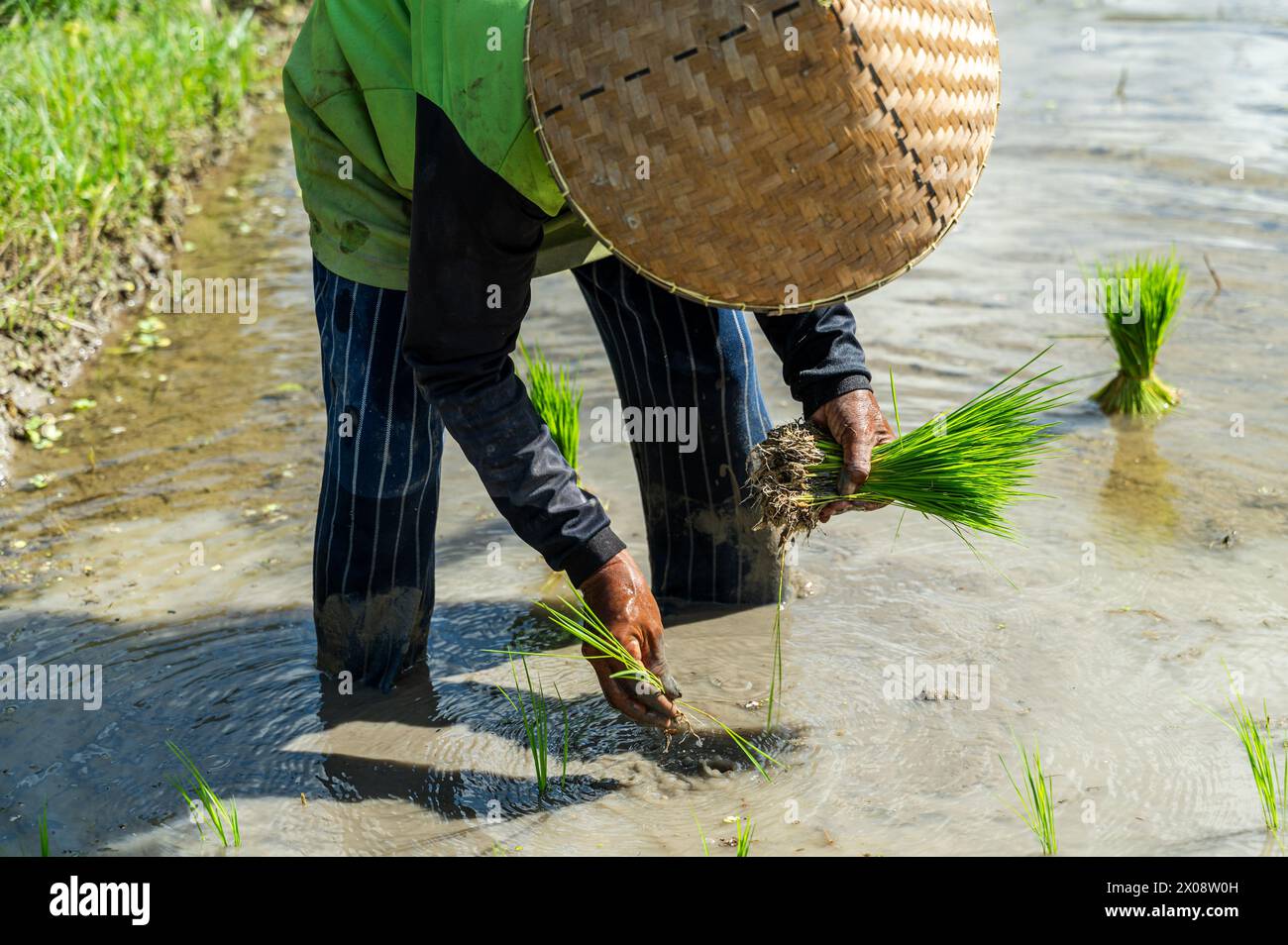 Muddy terrains hi-res stock photography and images - Alamy