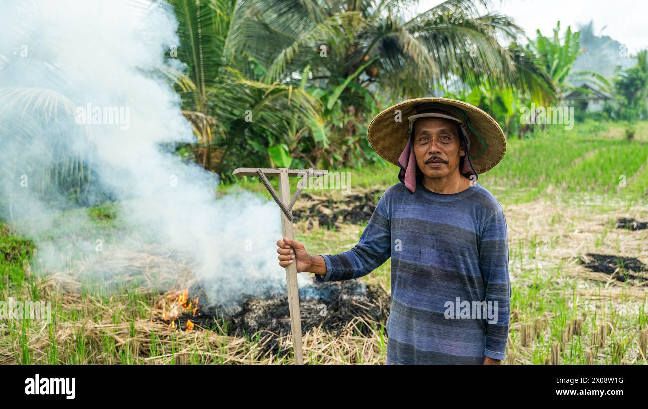 A Balinese farmer stands in a rice field wearing a traditional hat ...