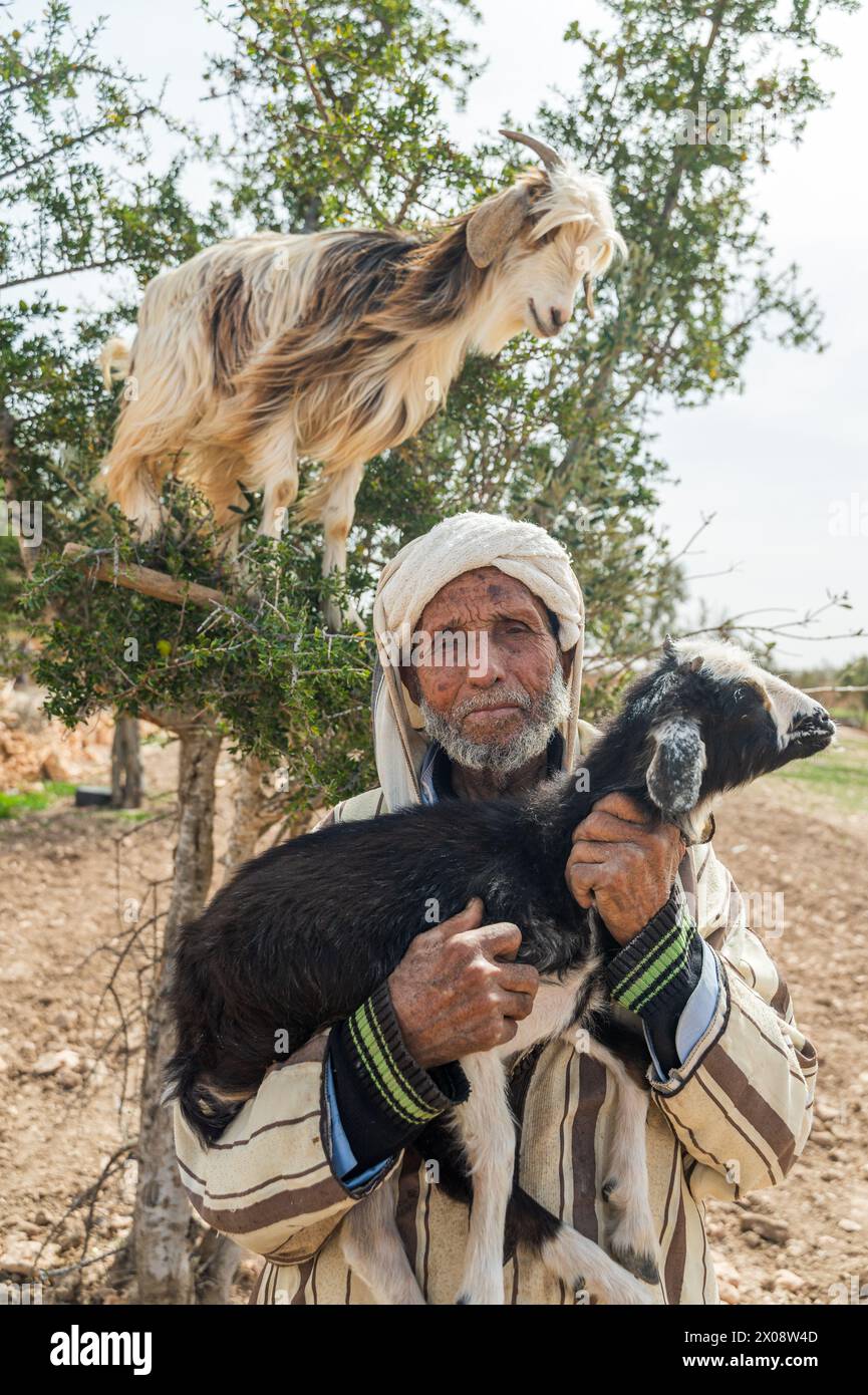 Perched on goats beard hi-res stock photography and images - Alamy