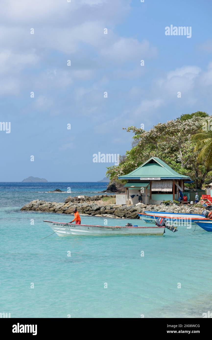 Fishing boats moored in Britannia Bay, Lovell Village, Mustique Island ...