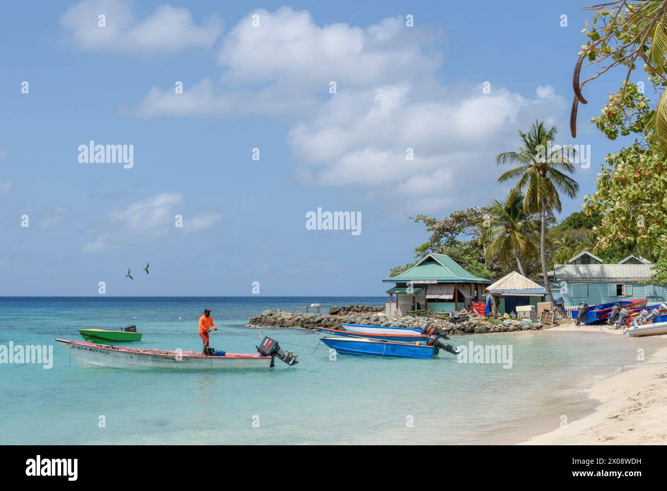 Fishing boats moored in Britannia Bay, Lovell Village, Mustique Island ...