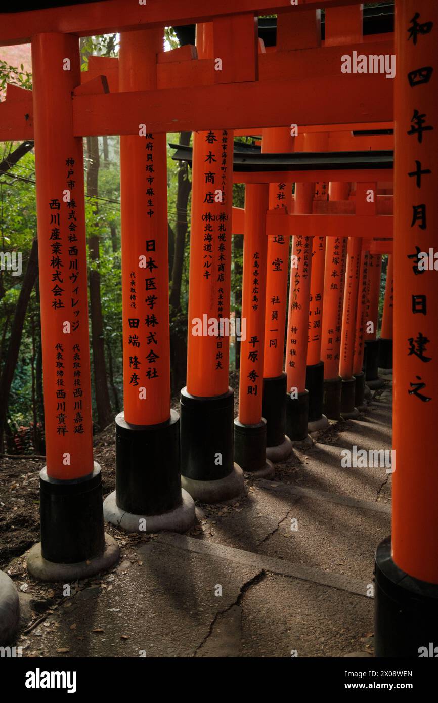 A serene path flanked by iconic red Torii gates, inscribed with ...