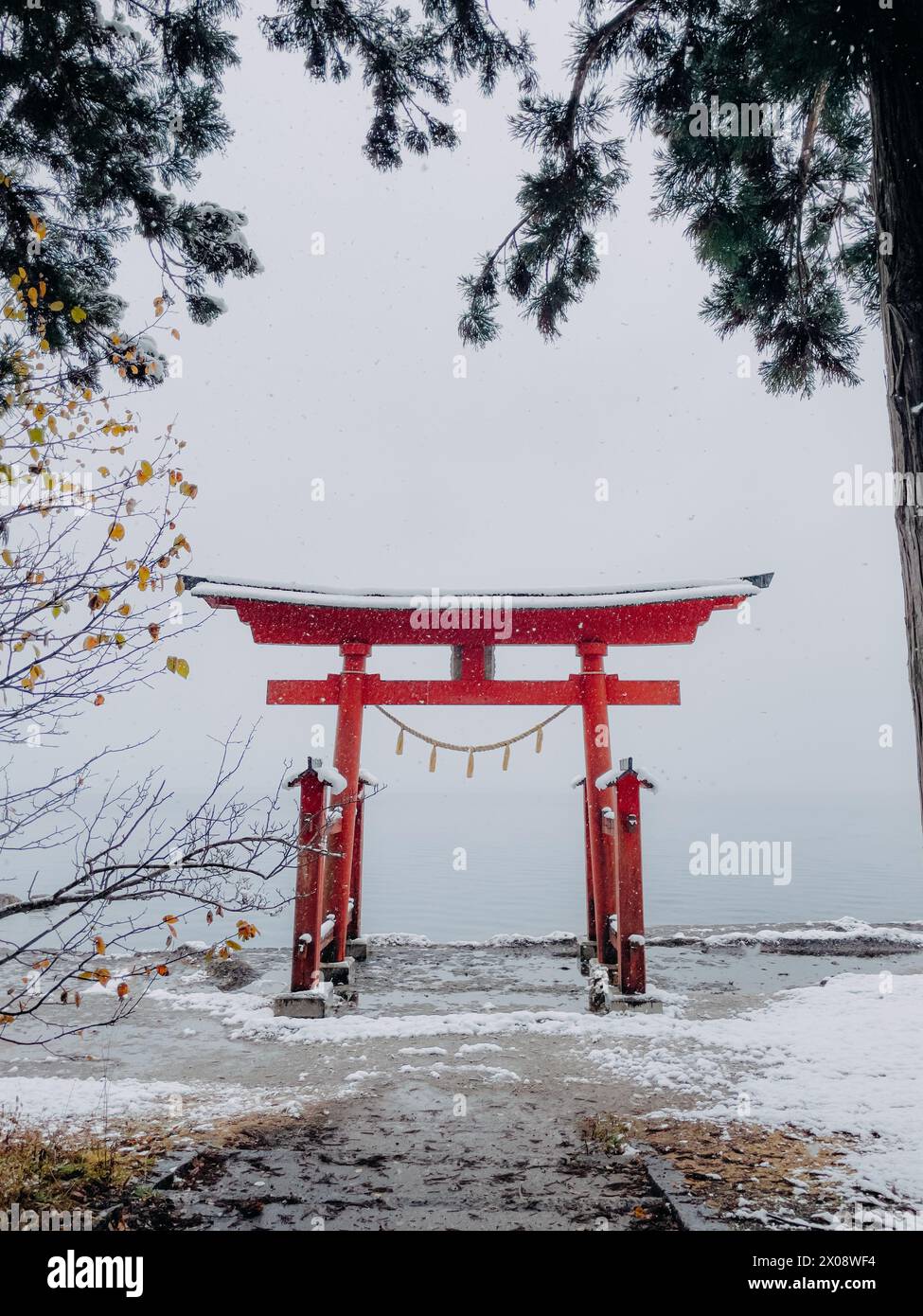 Torii gate in snow hi-res stock photography and images - Alamy