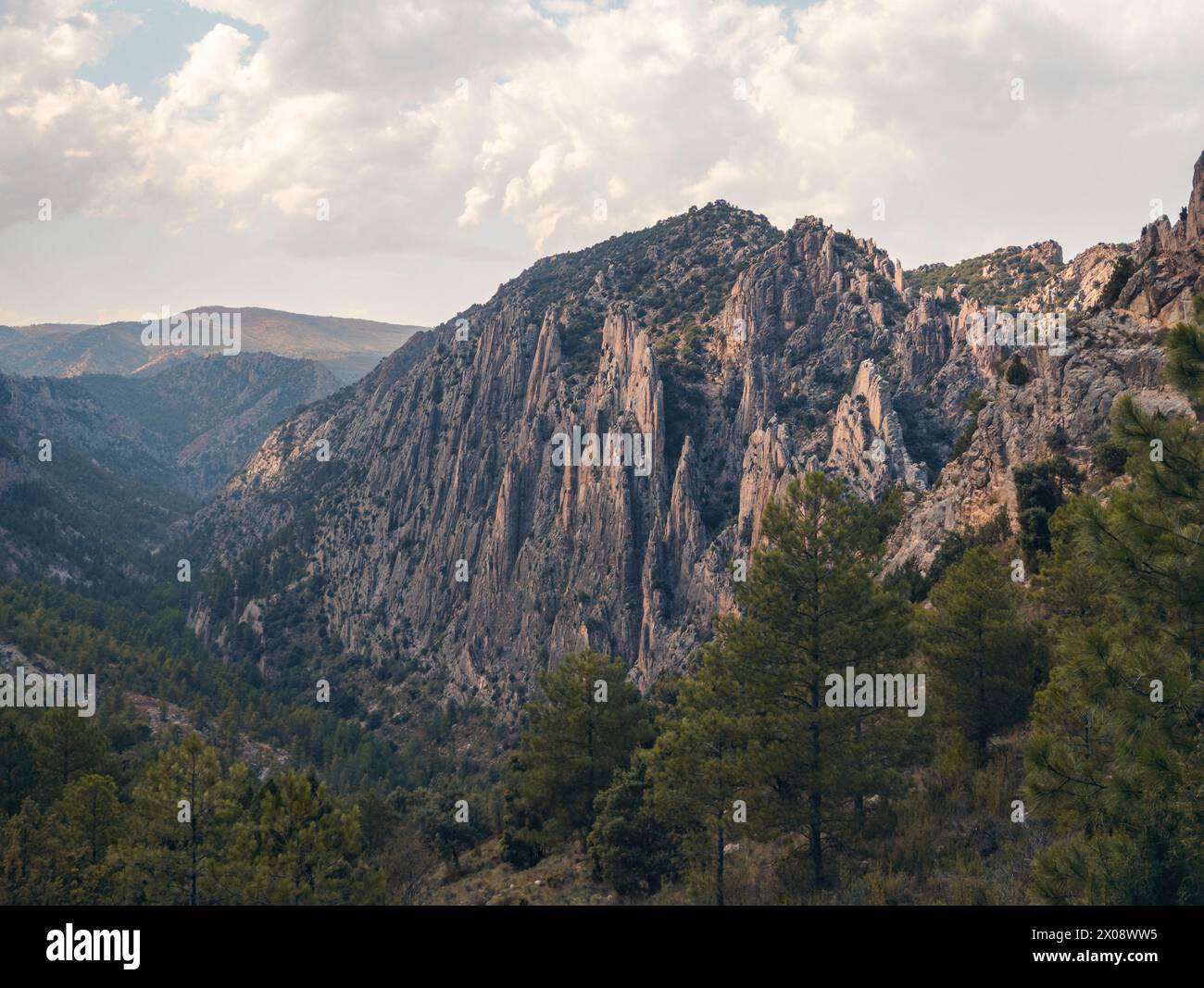 Lush green trees flank rugged mountain ridges under a serene sky ...