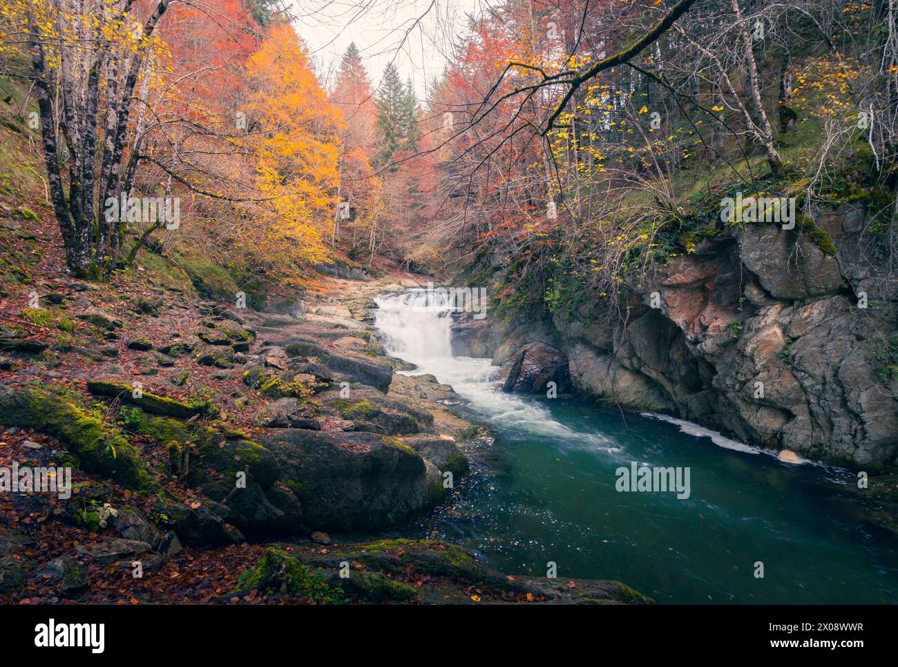 A river rushes through a rocky gorge surrounded by the fiery foliage of ...