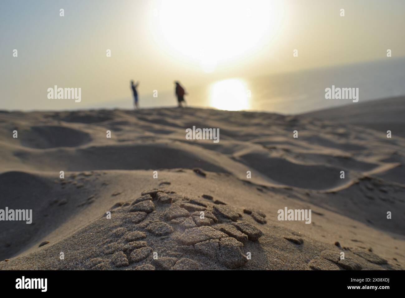 Closeup of sands of the desert , close up view desert sands background ...