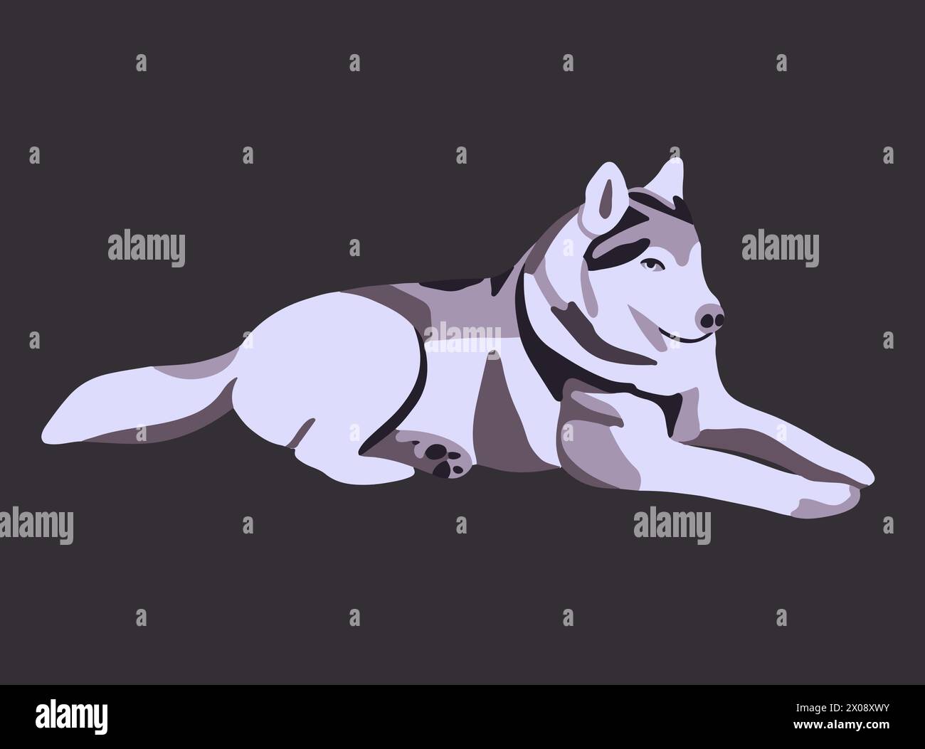 Husky dog vector isolated illustration Stock Vector Image & Art - Alamy