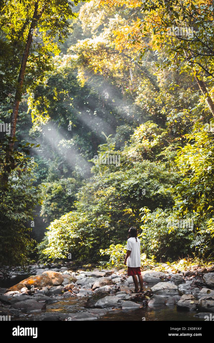 A lone traveler stands on river rocks, surrounded by the lush greenery ...