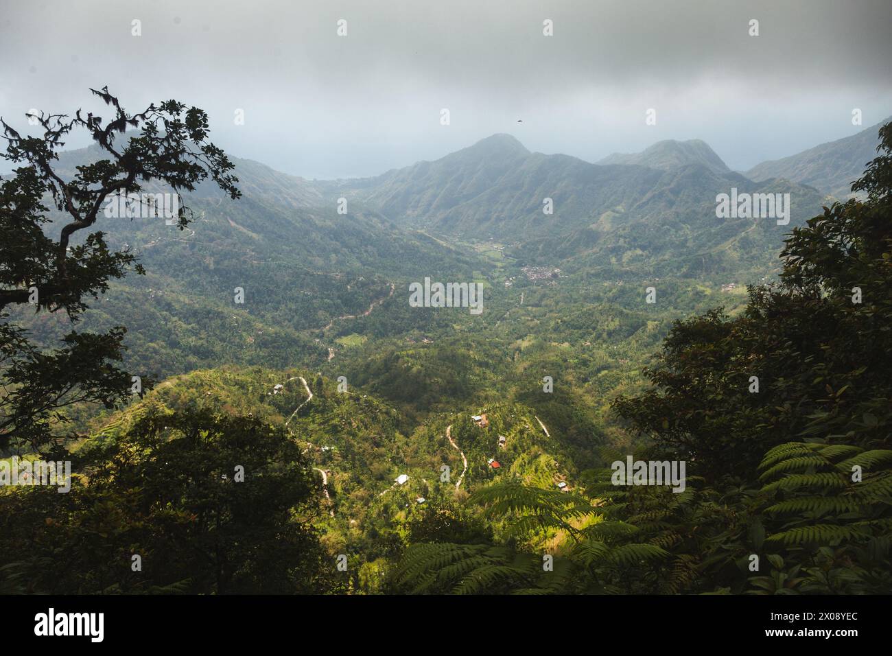 Mist gently shrouding hi-res stock photography and images - Alamy