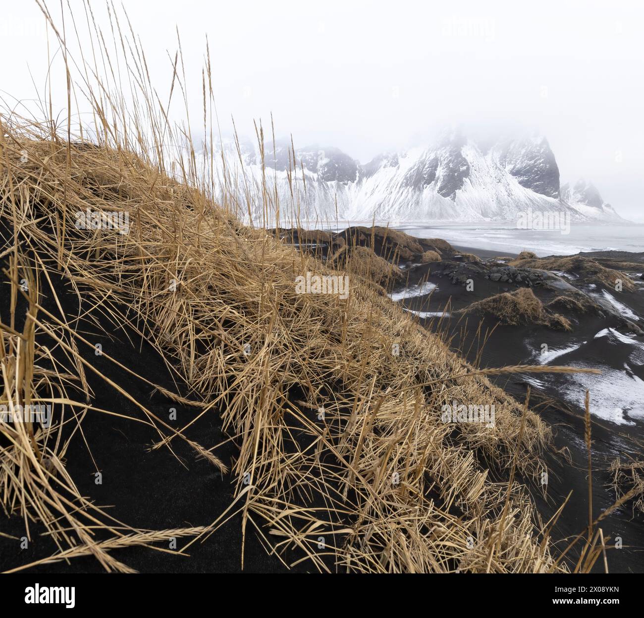 Stark Icelandic landscape with dry grass foreground and a misty ...