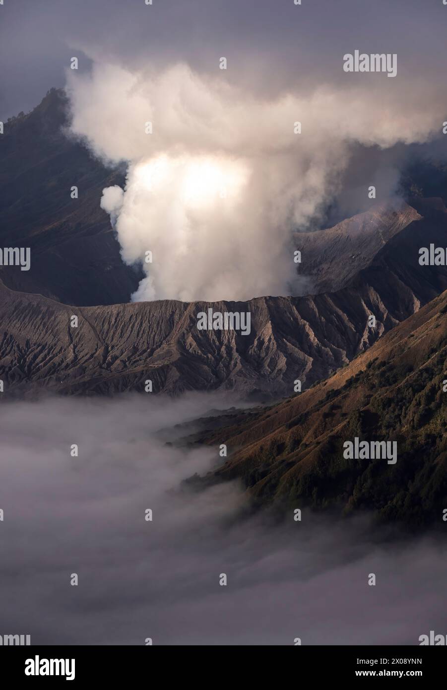 The morning light accentuates a volcanic eruption, its plume glowing ...