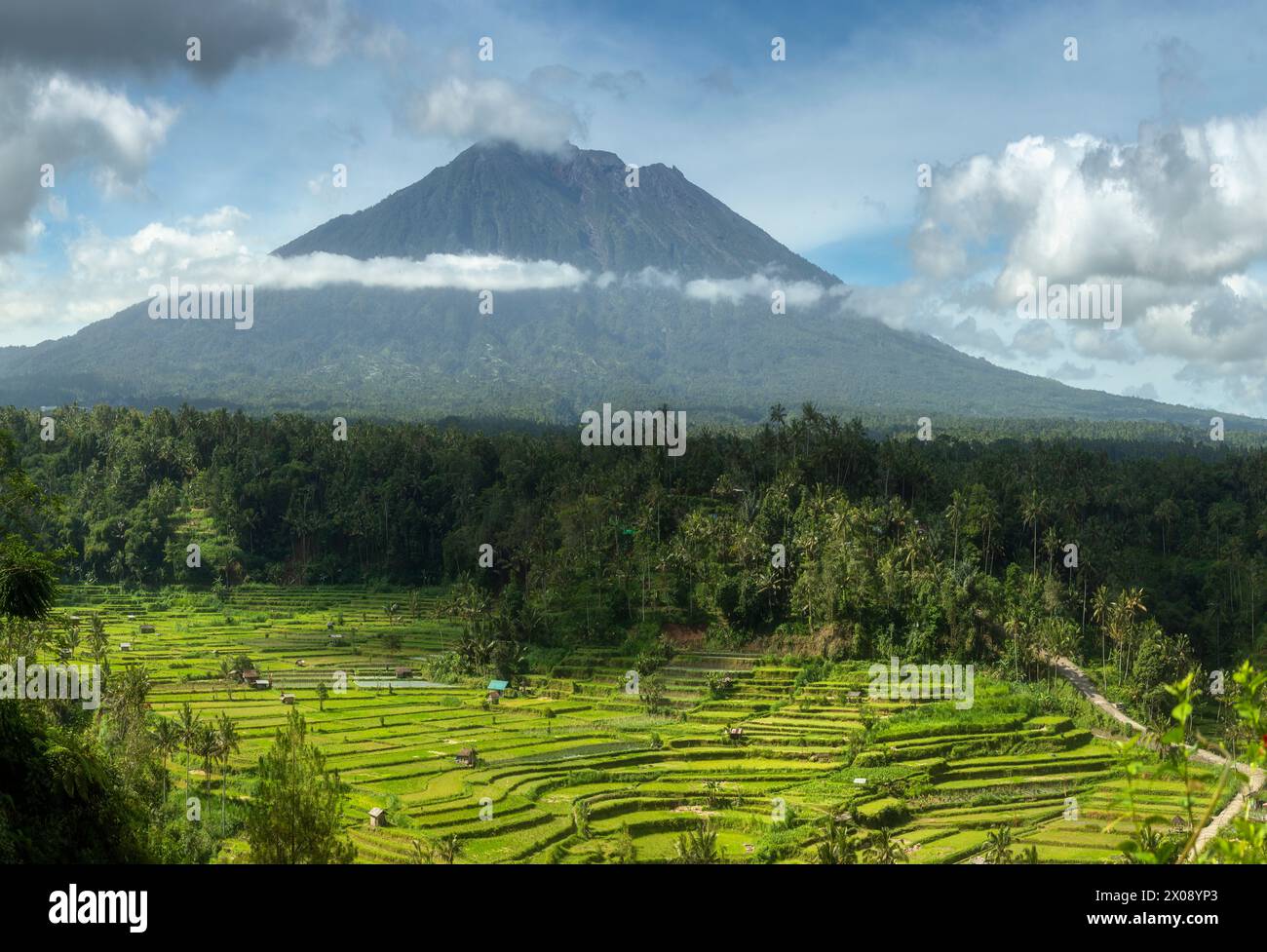 Expansive rice terraces in bali hi-res stock photography and images - Alamy