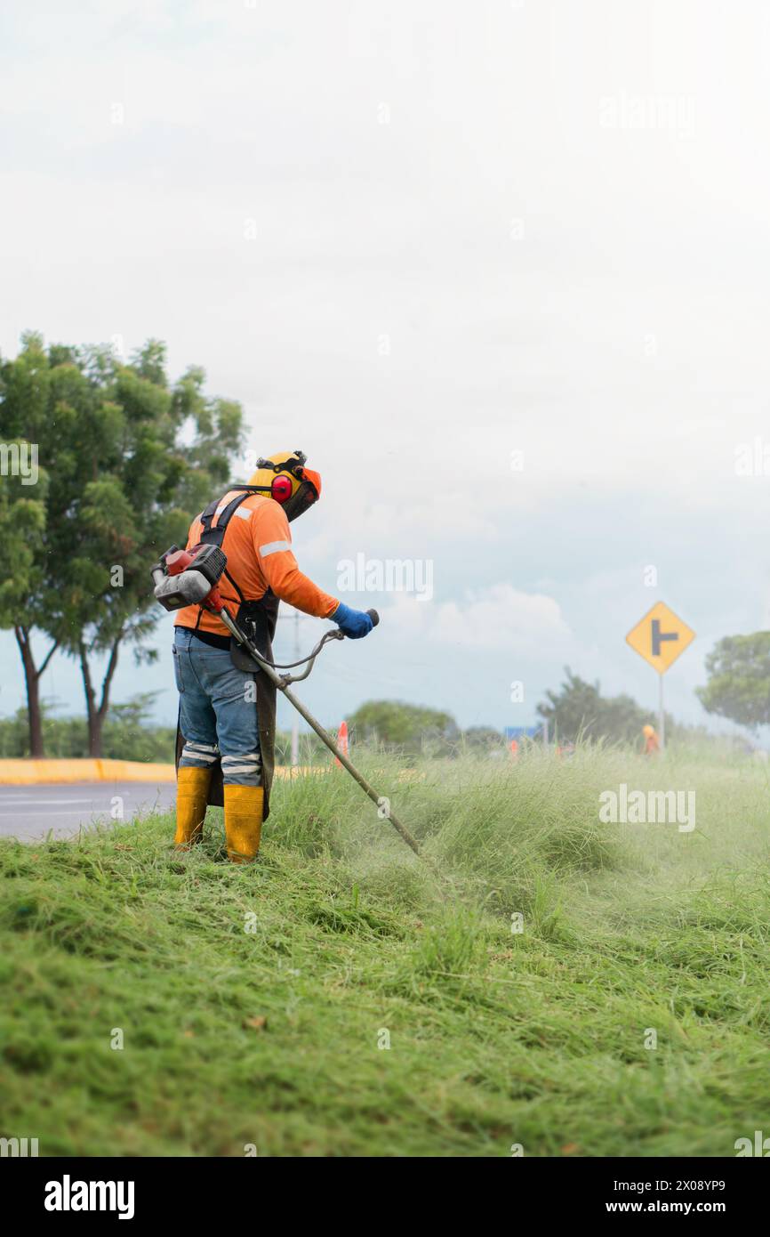A landscaper in safety gear uses a weed scythe to trim tall grass along ...