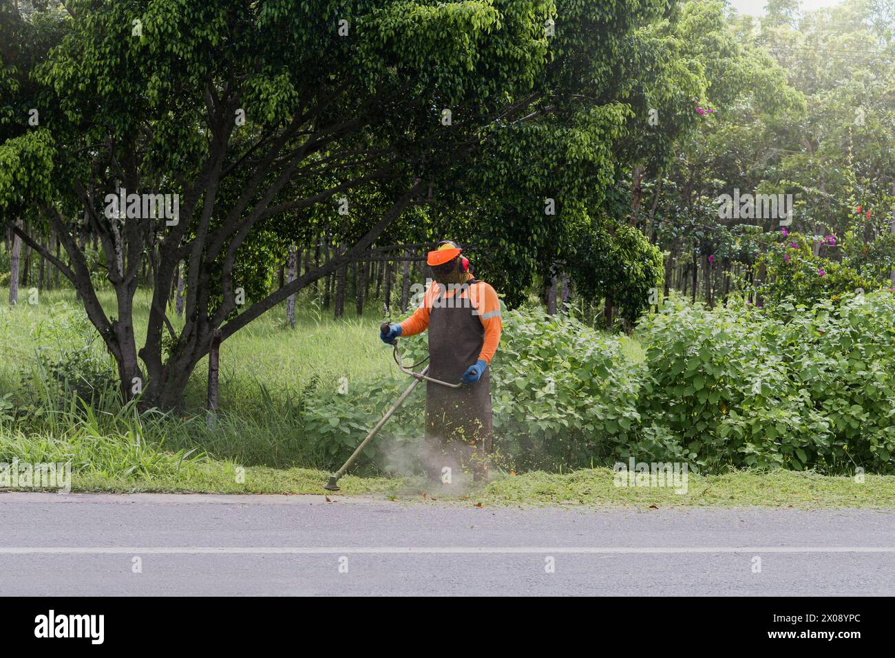 A worker in orange safety gear operates a string trimmer to cut grass ...