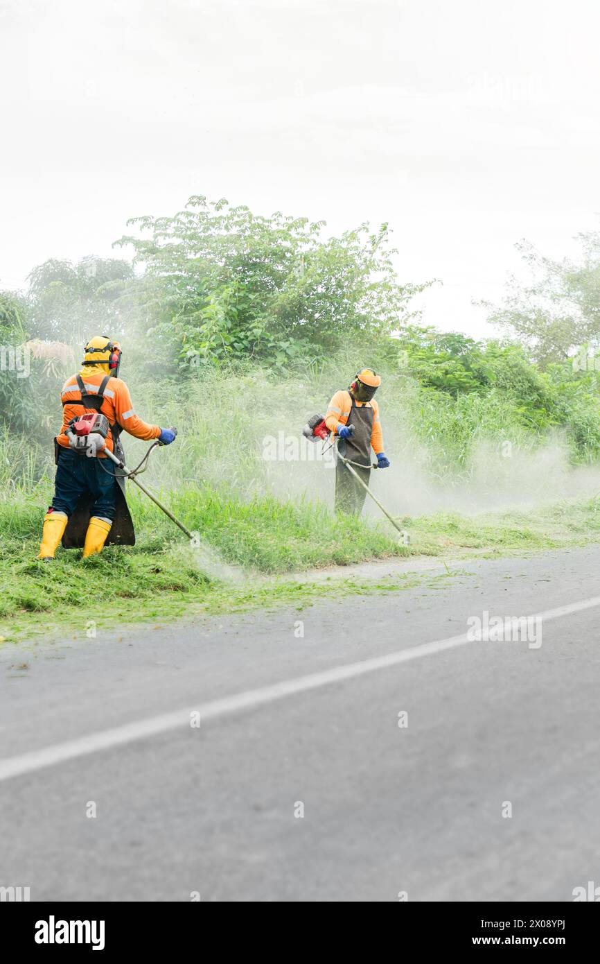 Two workers in safety gear use scythes to clear tall grass by the ...
