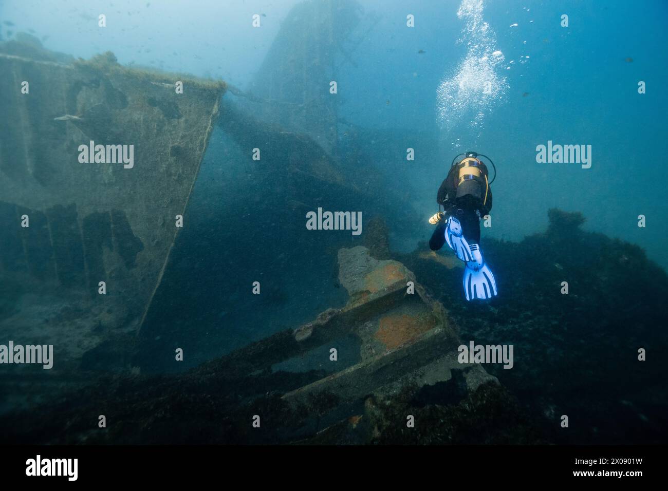 A scuba diver investigates the remains of a submerged shipwreck ...