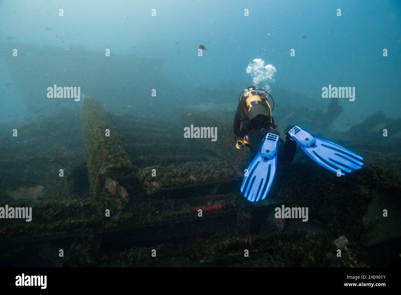 A scuba diver glides through the clear blue waters, flippers propelling ...