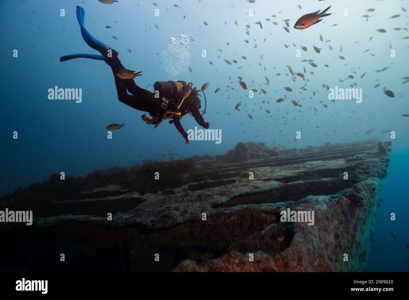 Ancient aquatic ecosystem hi-res stock photography and images - Alamy