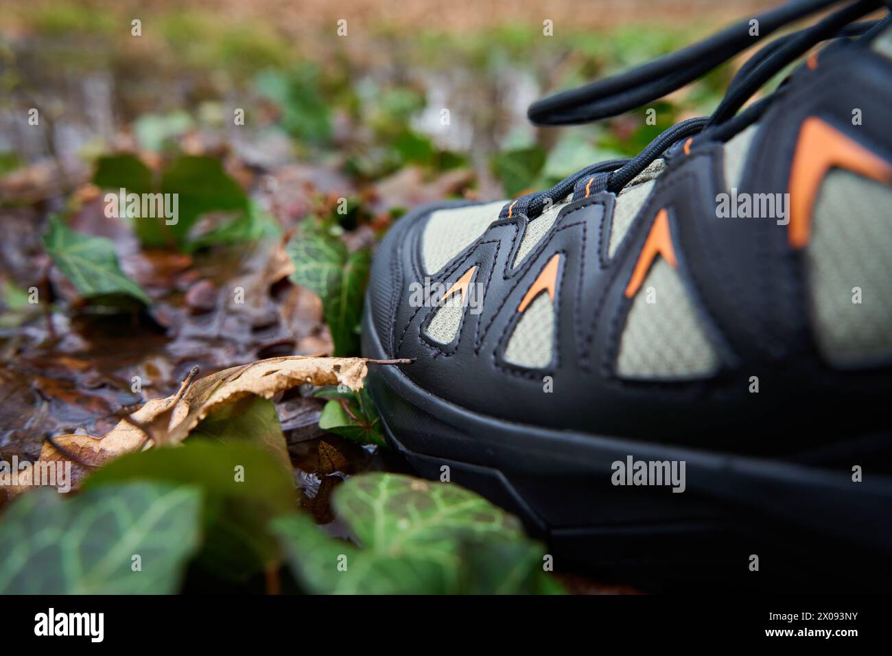 Hiking boots stands on forest floor, submerged in water puddle ...