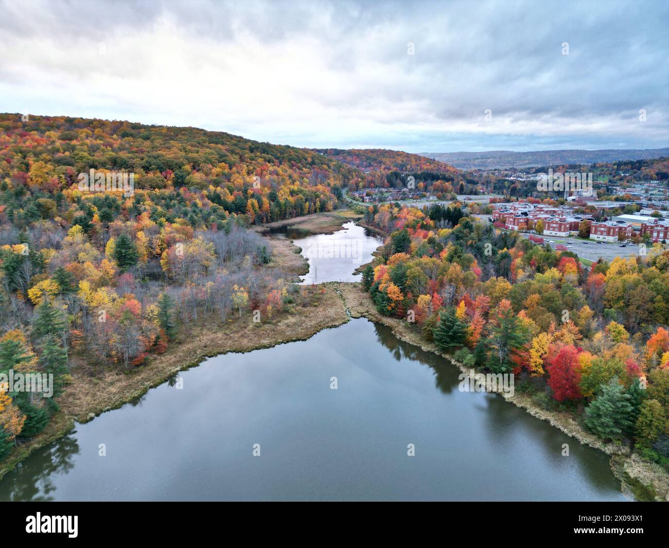marsh with lake (aerial view in autumn with fall foliage) binghamton ...