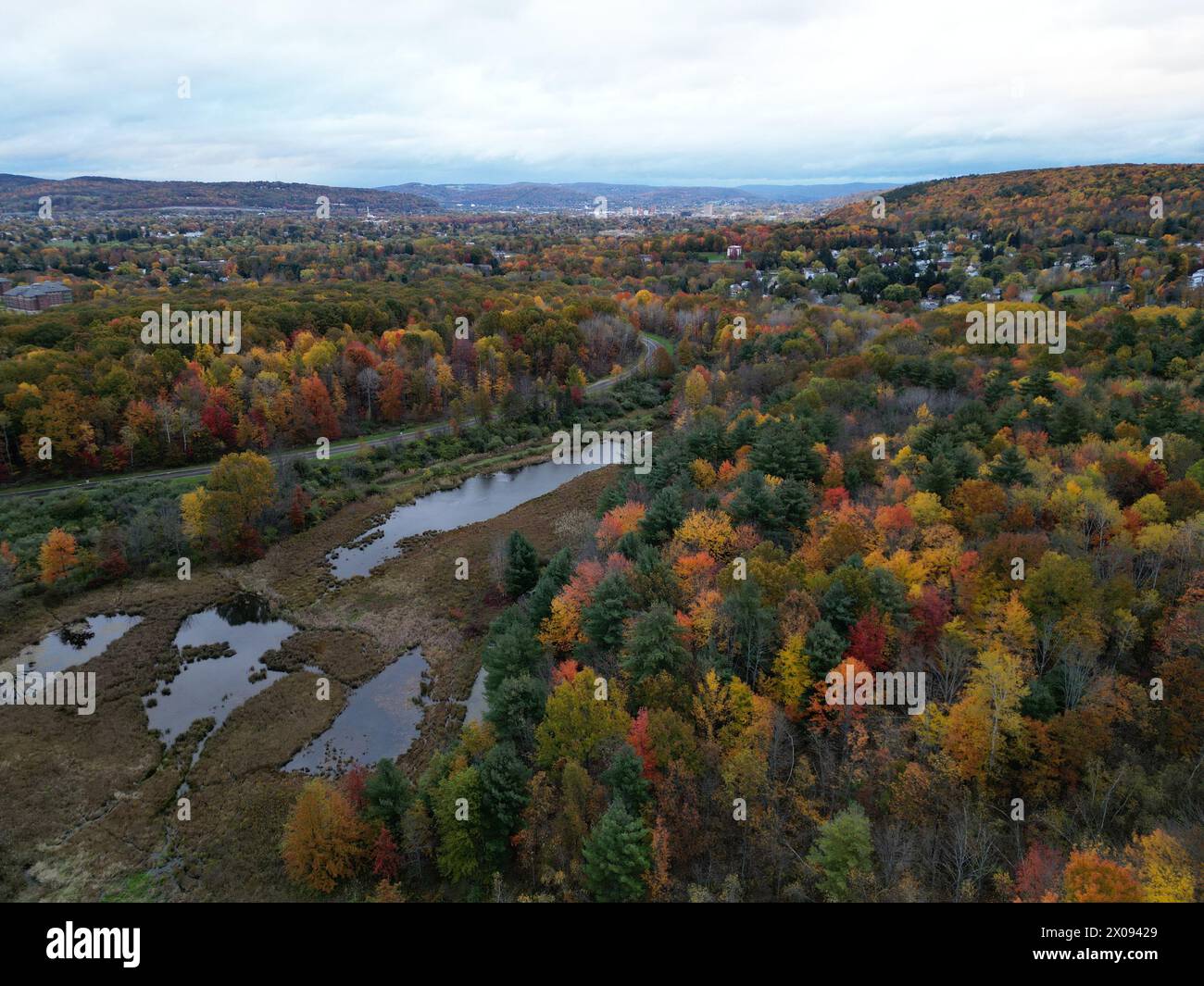 marsh with lake (aerial view in autumn with fall foliage) binghamton ...