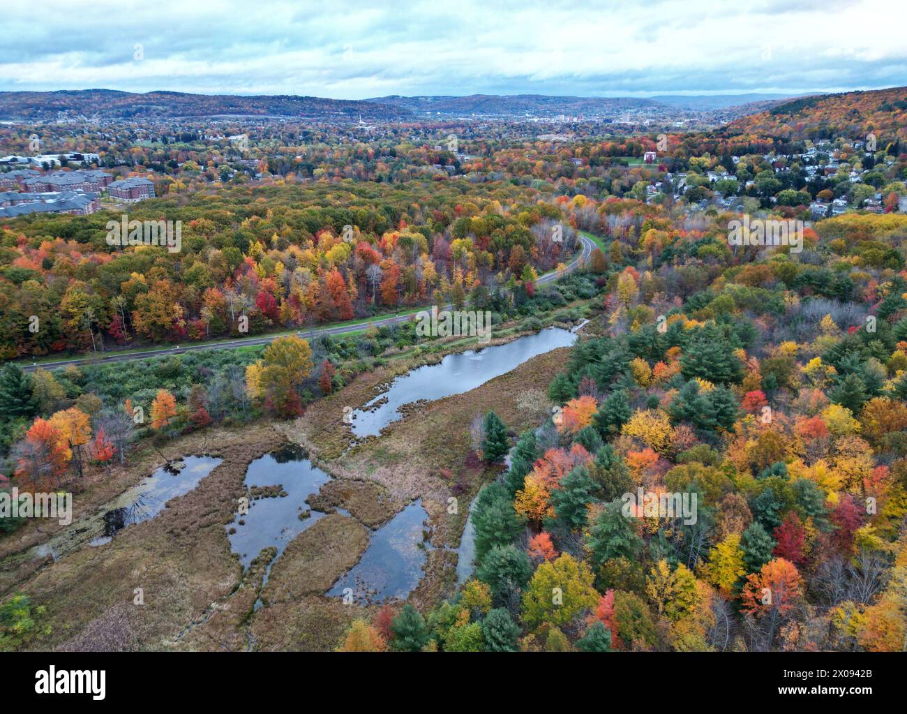 marsh with lake (aerial view in autumn with fall foliage) binghamton ...