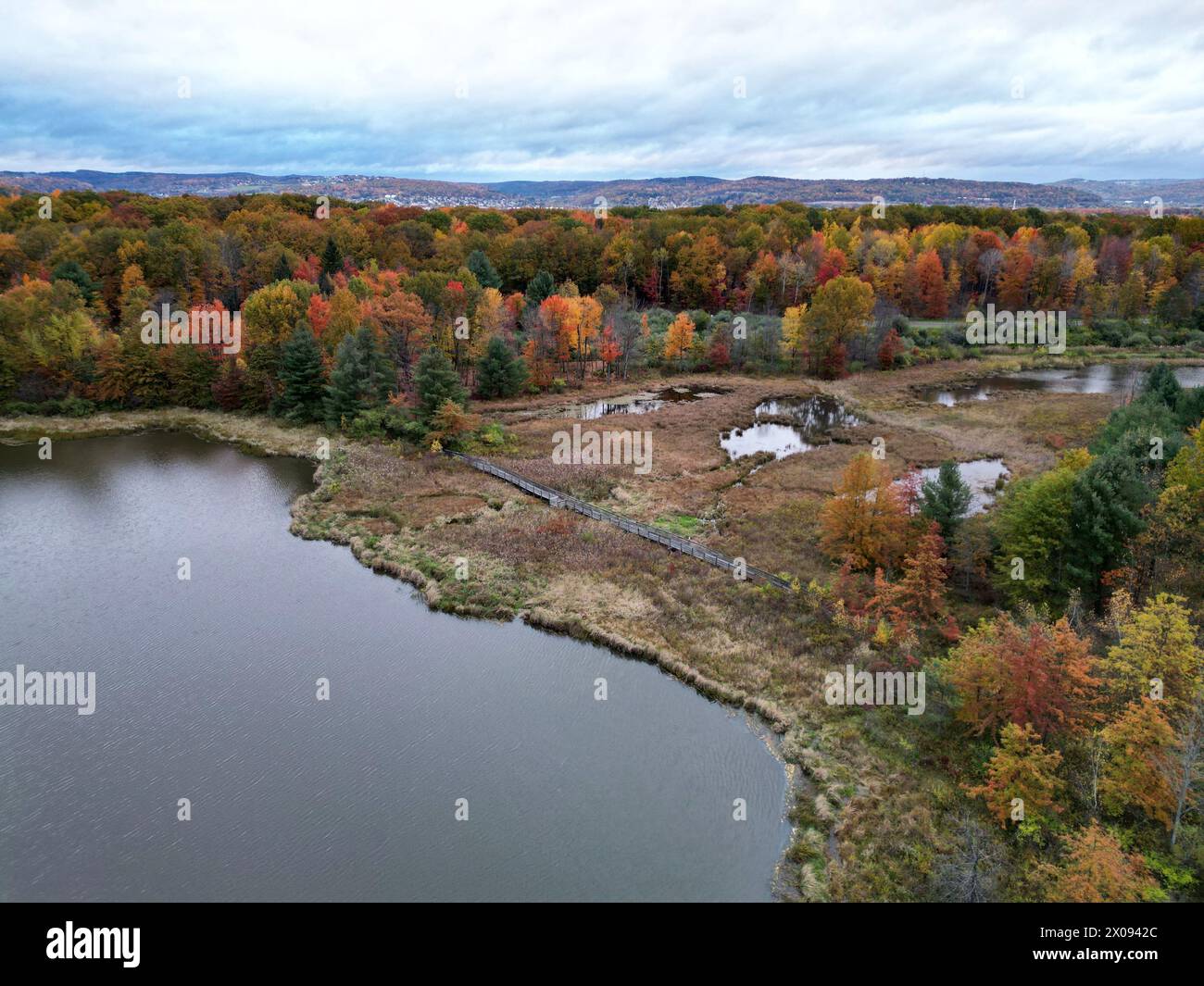 marsh with lake (aerial view in autumn with fall foliage) binghamton ...