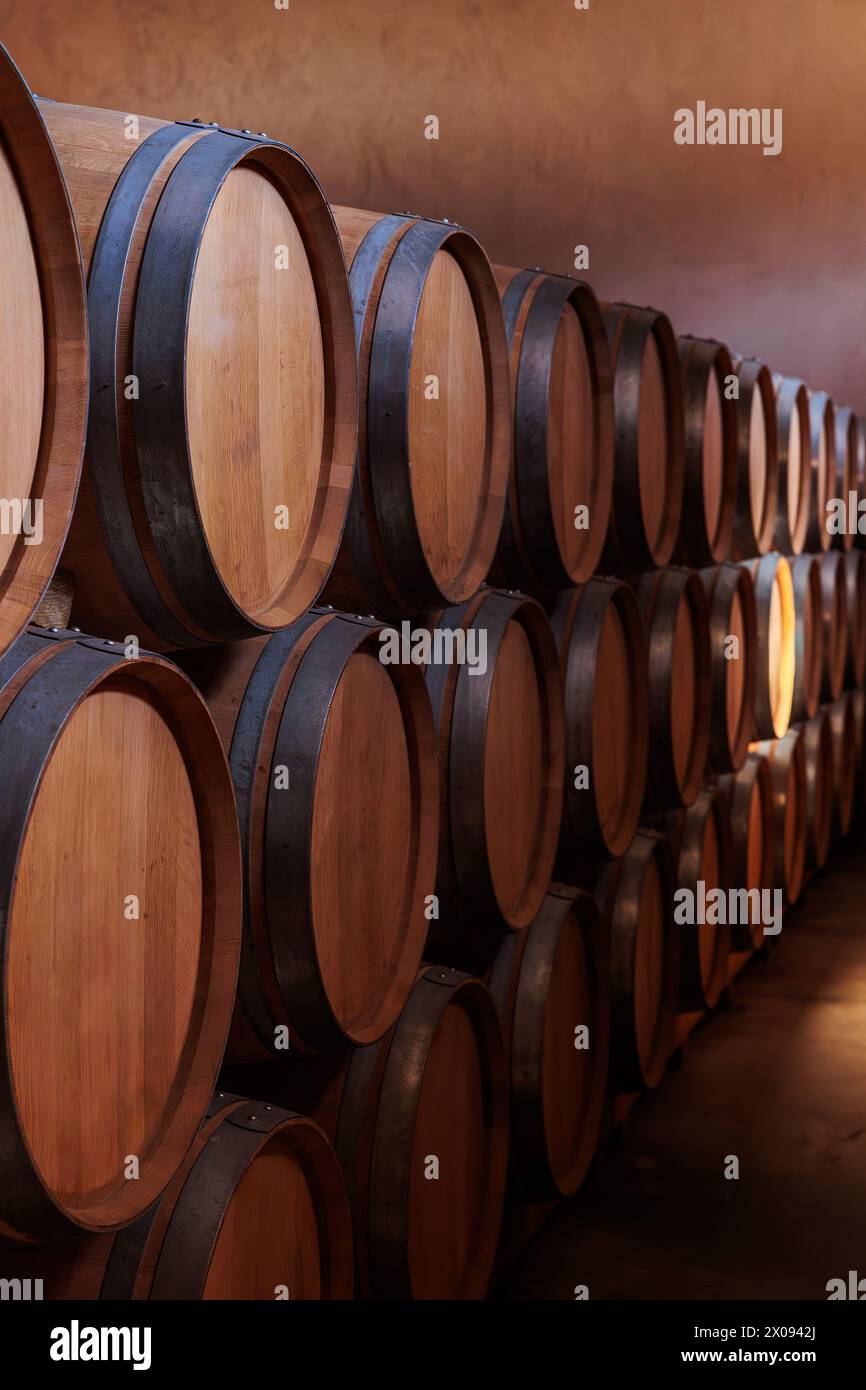 oak barrels filled with the best wine are arranged in the winery Stock ...