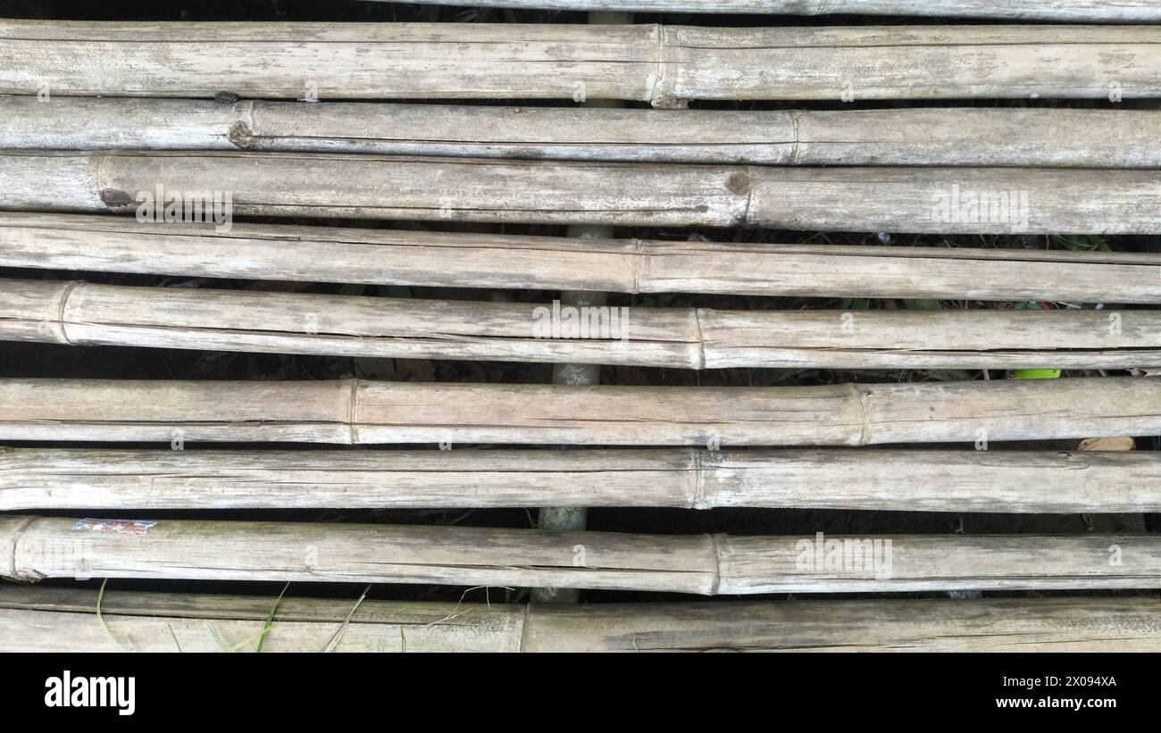 Bamboo cross section hi-res stock photography and images - Alamy