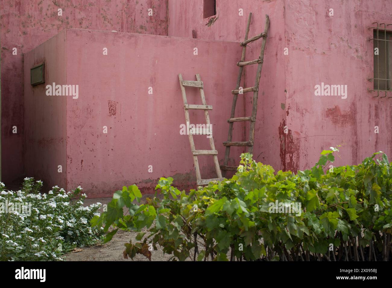Tacama vineyard and winery has been growing grapes to make wine and ...