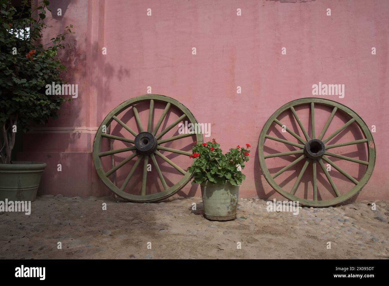 Tacama vineyard and winery has been growing grapes to make wine and ...