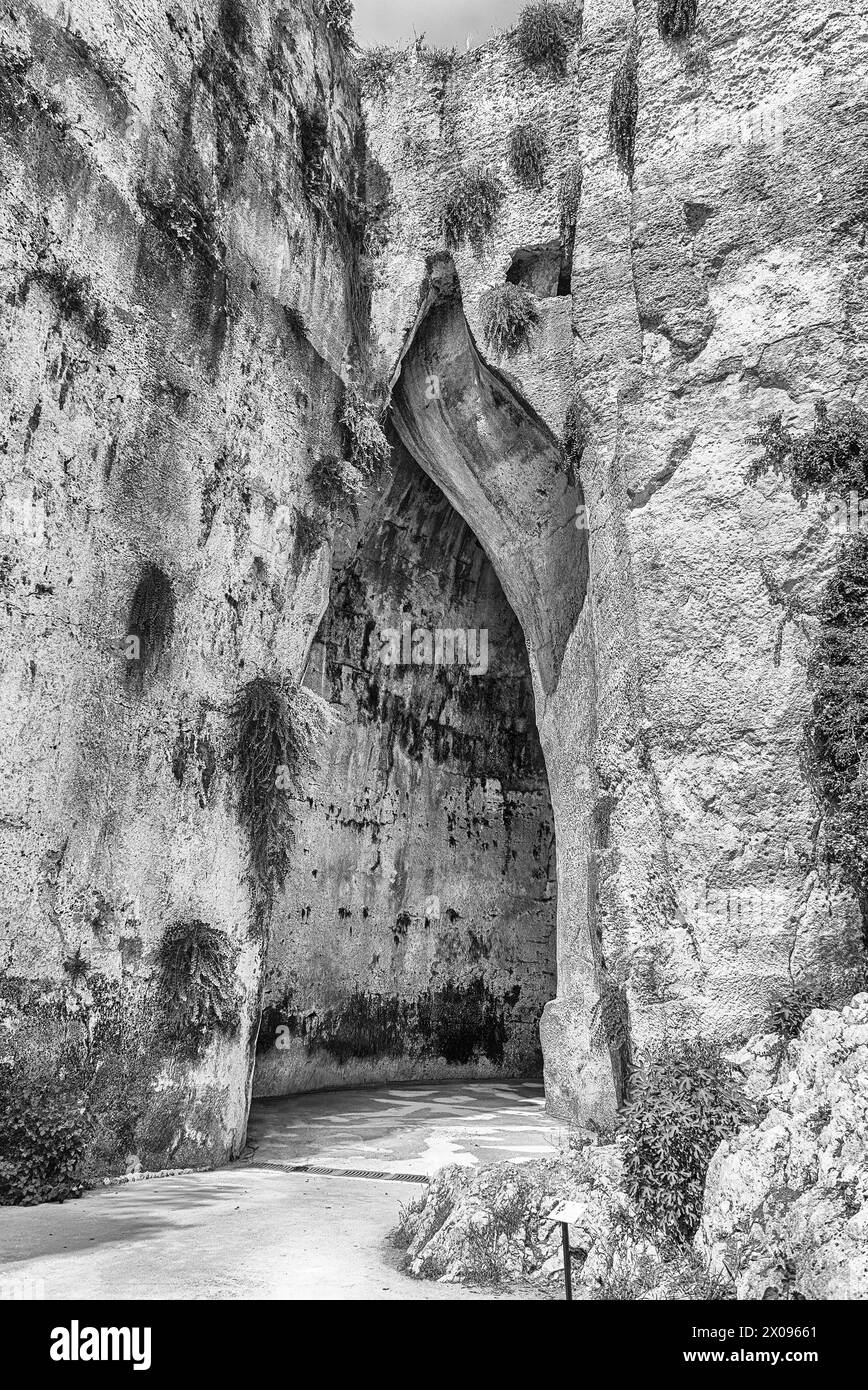 Dionysus ear Black and White Stock Photos & Images - Alamy