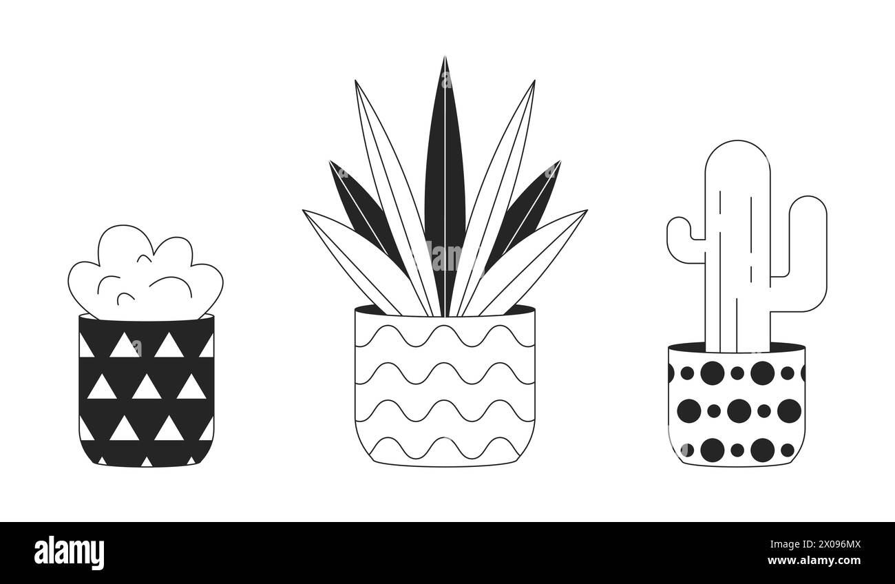 Exotic houseplants in flowerpots black and white 2D line cartoon ...