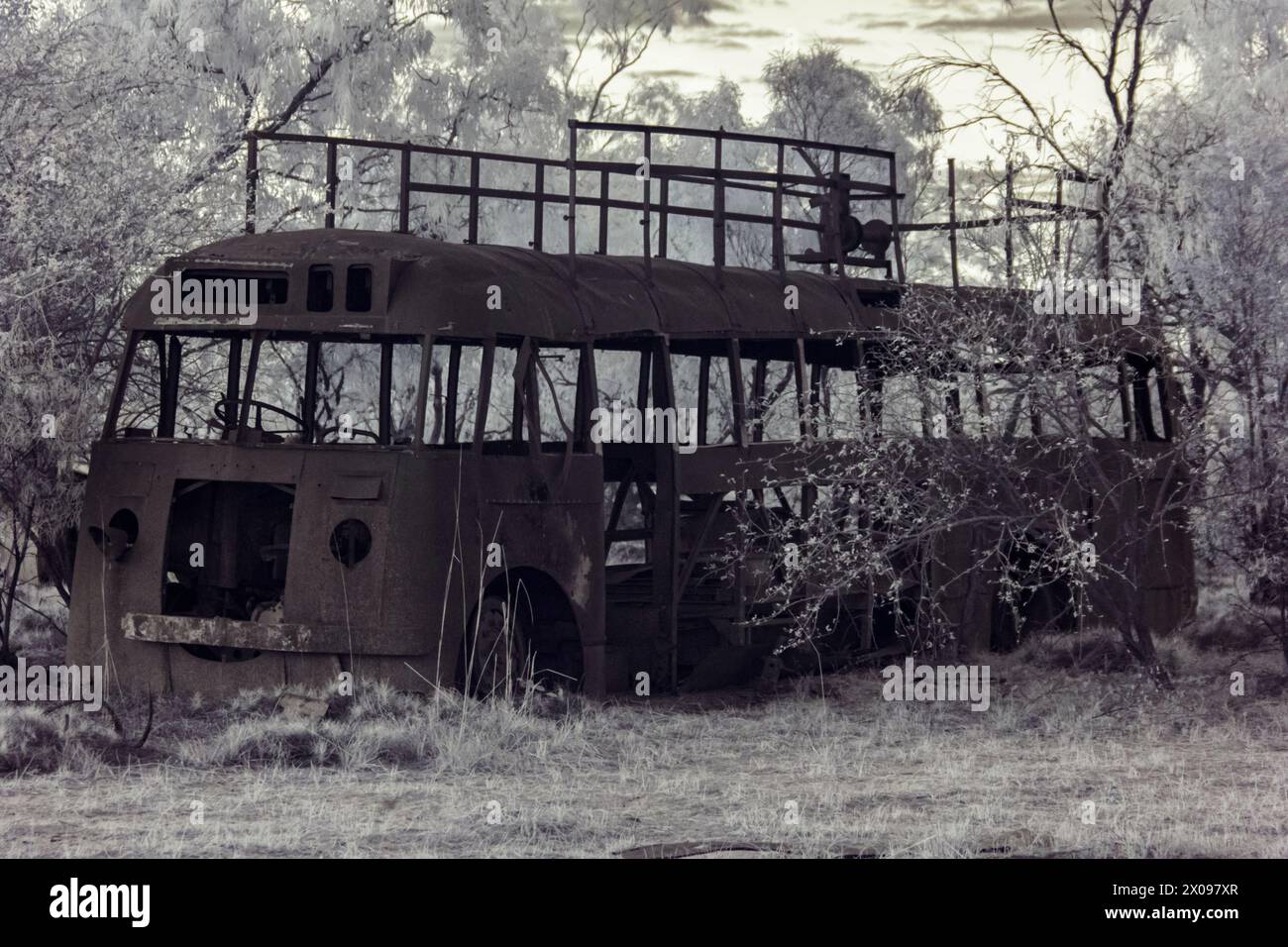 Side view of an abandoned, rusted tour bus in a forest, capture in ...