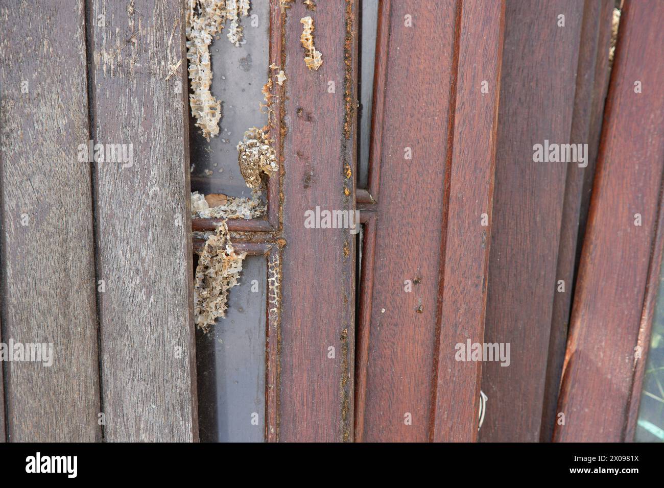 Poor restoration hi-res stock photography and images - Alamy