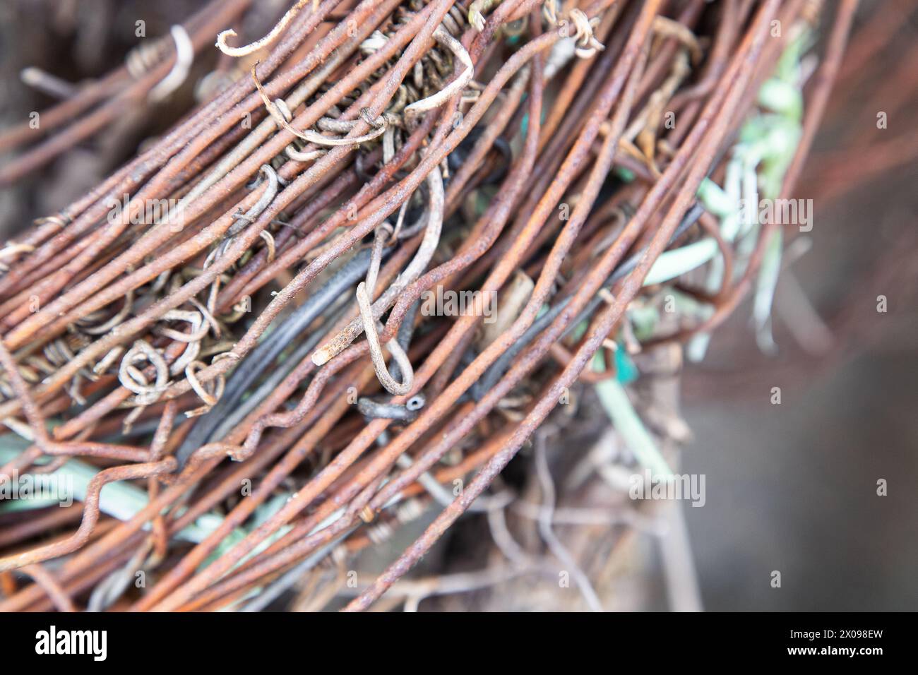 Old coiled and rusty wires, disused material, dismissals. Close up ...