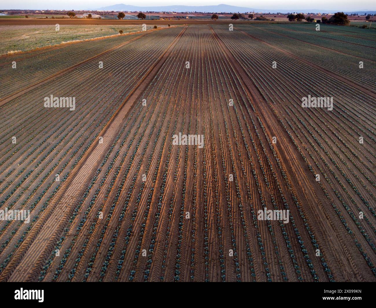 Top view of agricultural land Stock Photo - Alamy