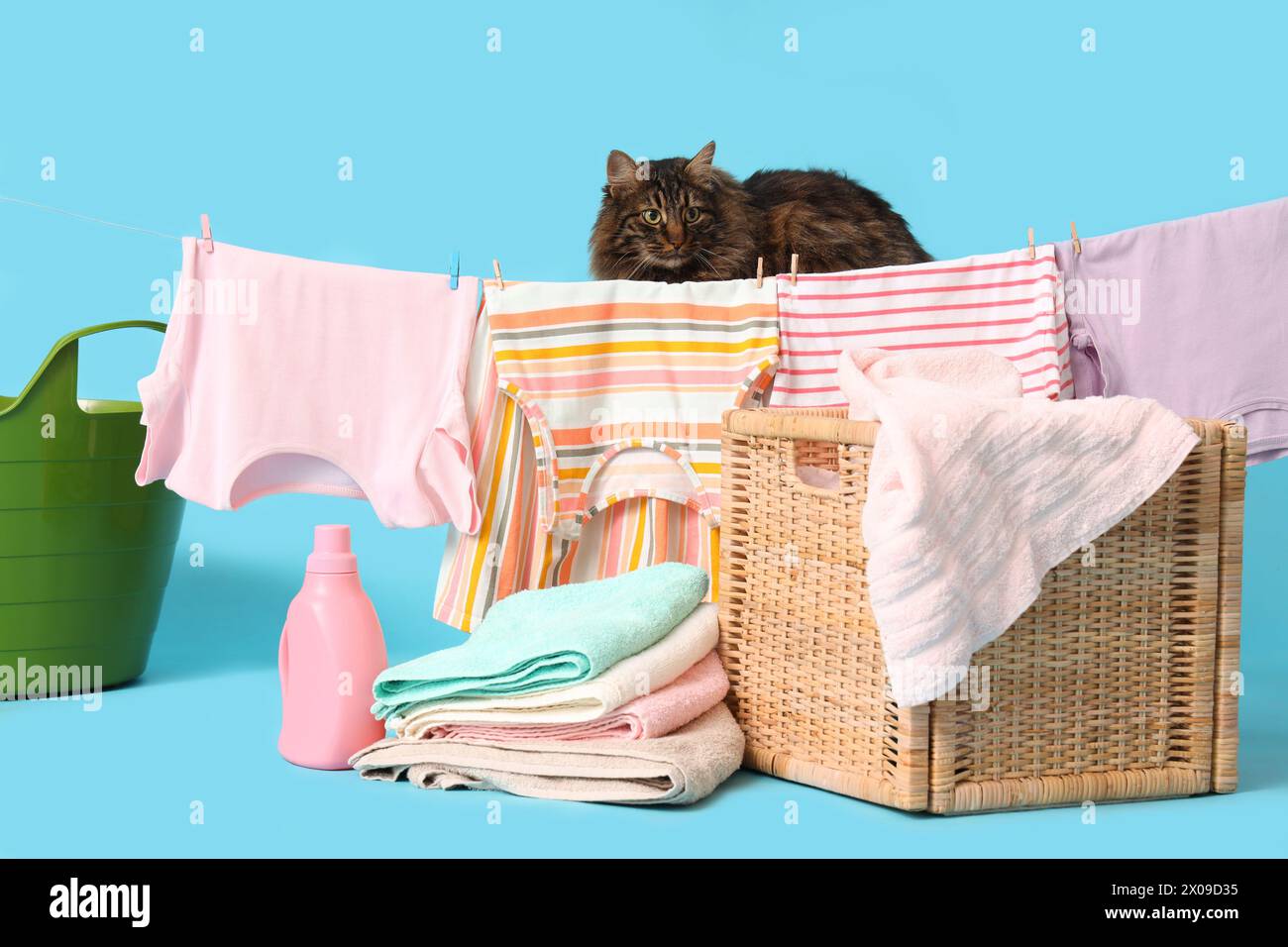 Cute cat with hanging laundry on blue background Stock Photo - Alamy