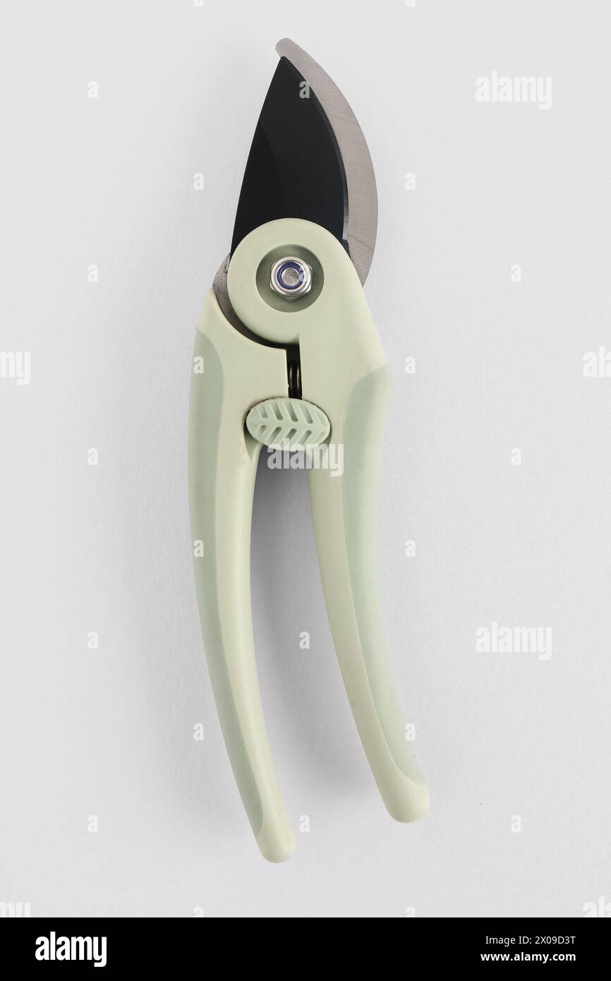 Gardening secateurs on white background Stock Photo - Alamy