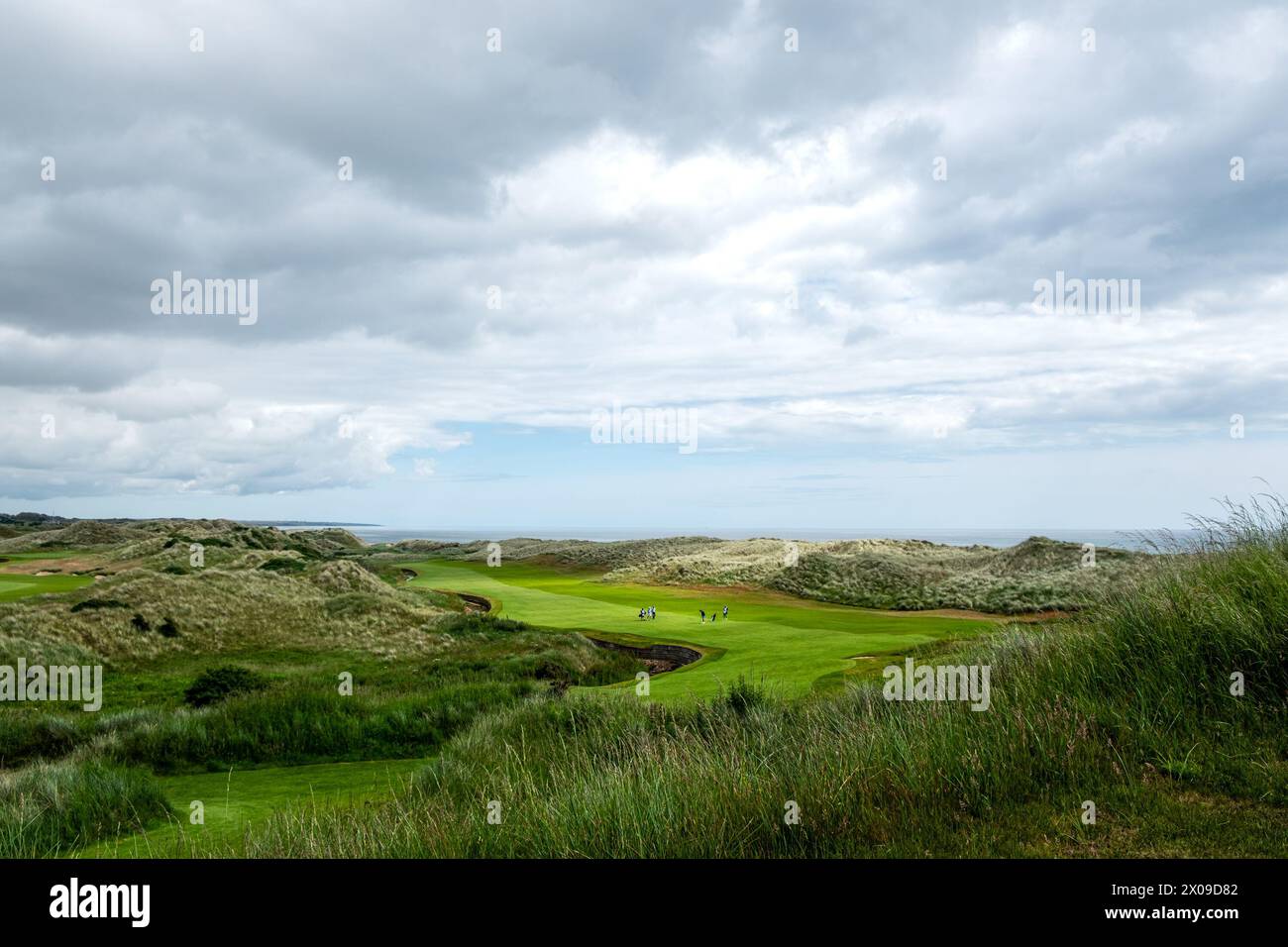 An hilly golf course facing the sea in Scotland Stock Photo - Alamy