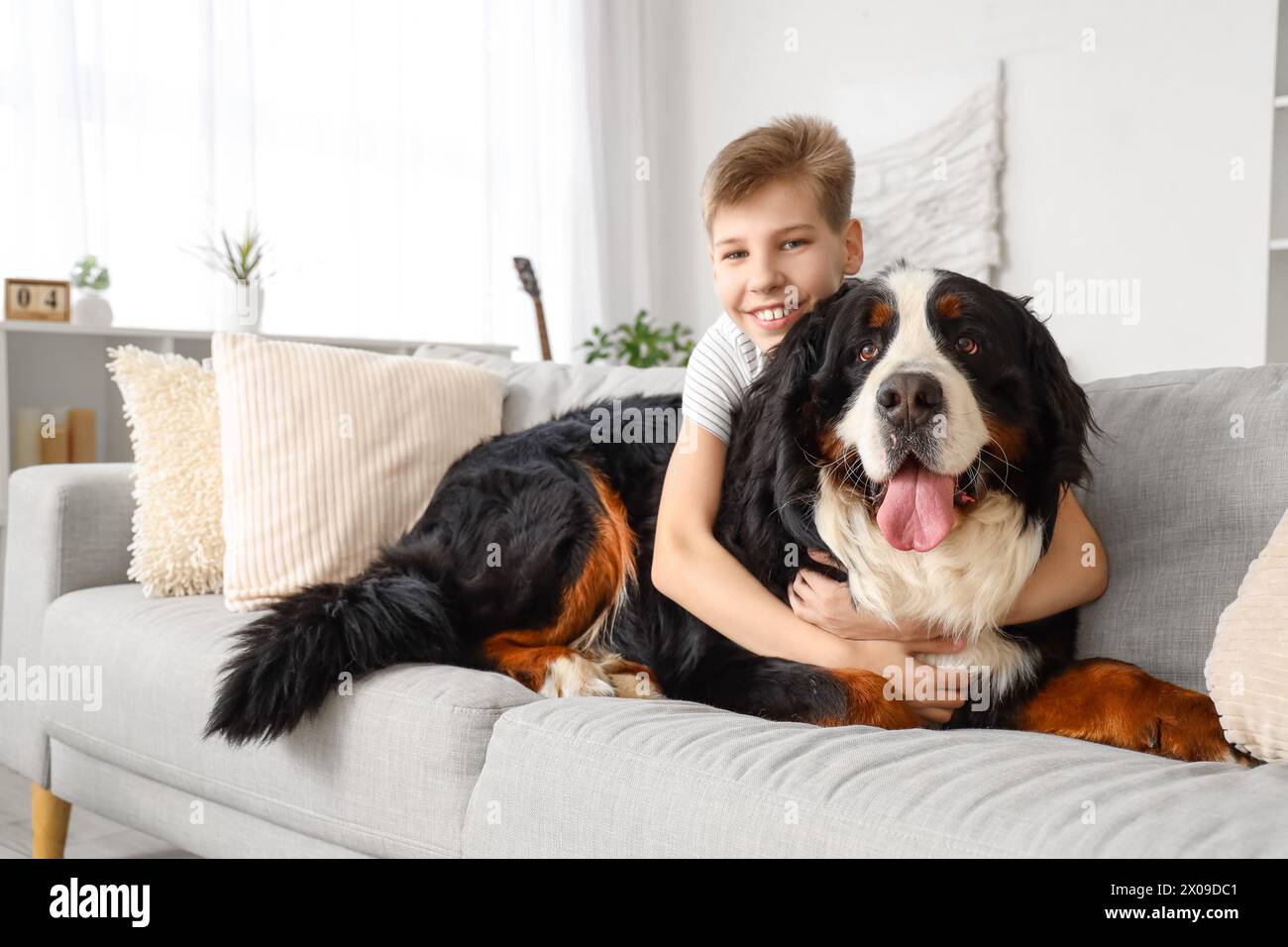 Little boy hugging Bernese mountain dog on sofa at home Stock Photo - Alamy