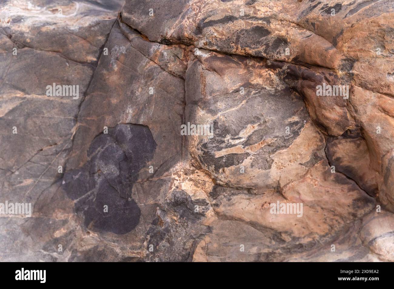 Rough and textured background of a wild stone boulder surface. Natural ...
