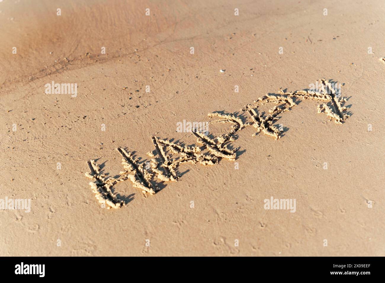 The word 'HAPPINESS' is inscribed on the sandy beach's surface ...