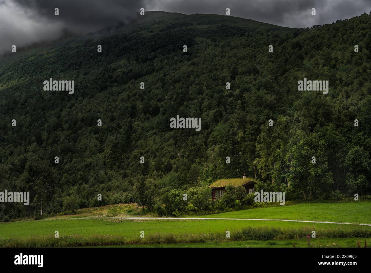 A small wooden summer cabin nestled in a forest clearing, with dark ...