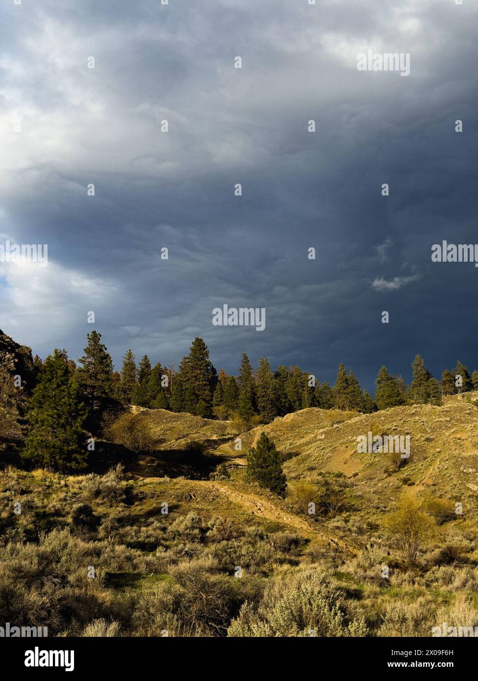 Sunlit hillside on a spring late afternoon with grey moody clouds Stock ...