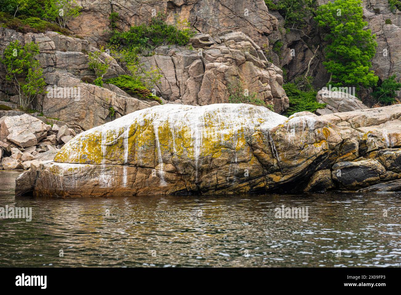 Bird faeces hi-res stock photography and images - Alamy