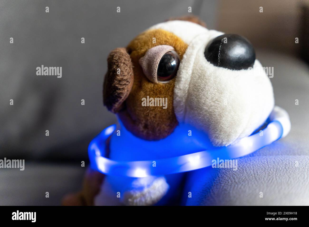 luminous dog collar with an adjustable strap and led light for night ...